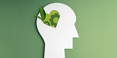 Guest Article | Sustainability Reporting Standards for the Public Sector
